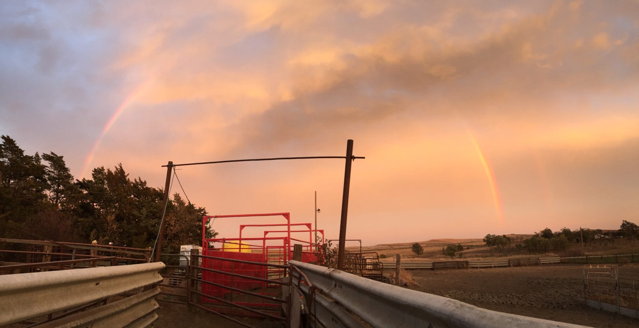 South Dakota Ranchers Raise More Than 33K to Fix Broken U.S. Cattle ...